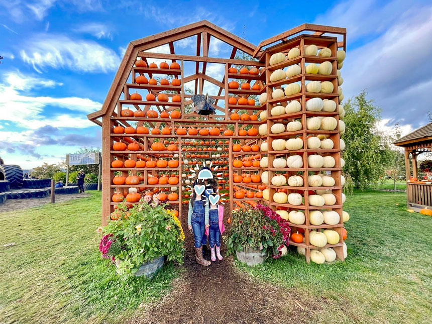 Stocker Farms Fall Festival with Kids: Pumpkins, Attractions, Photo Ops ...
