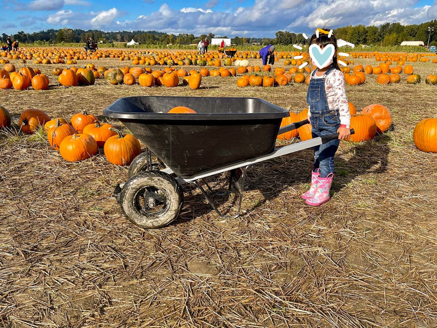 21 Kid-Friendly Pumpkin Patches, Corn Mazes, and Festivals in the ...