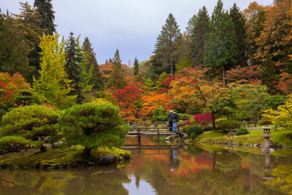 Seattle Japanese Garden: A Zen Retreat with Kids