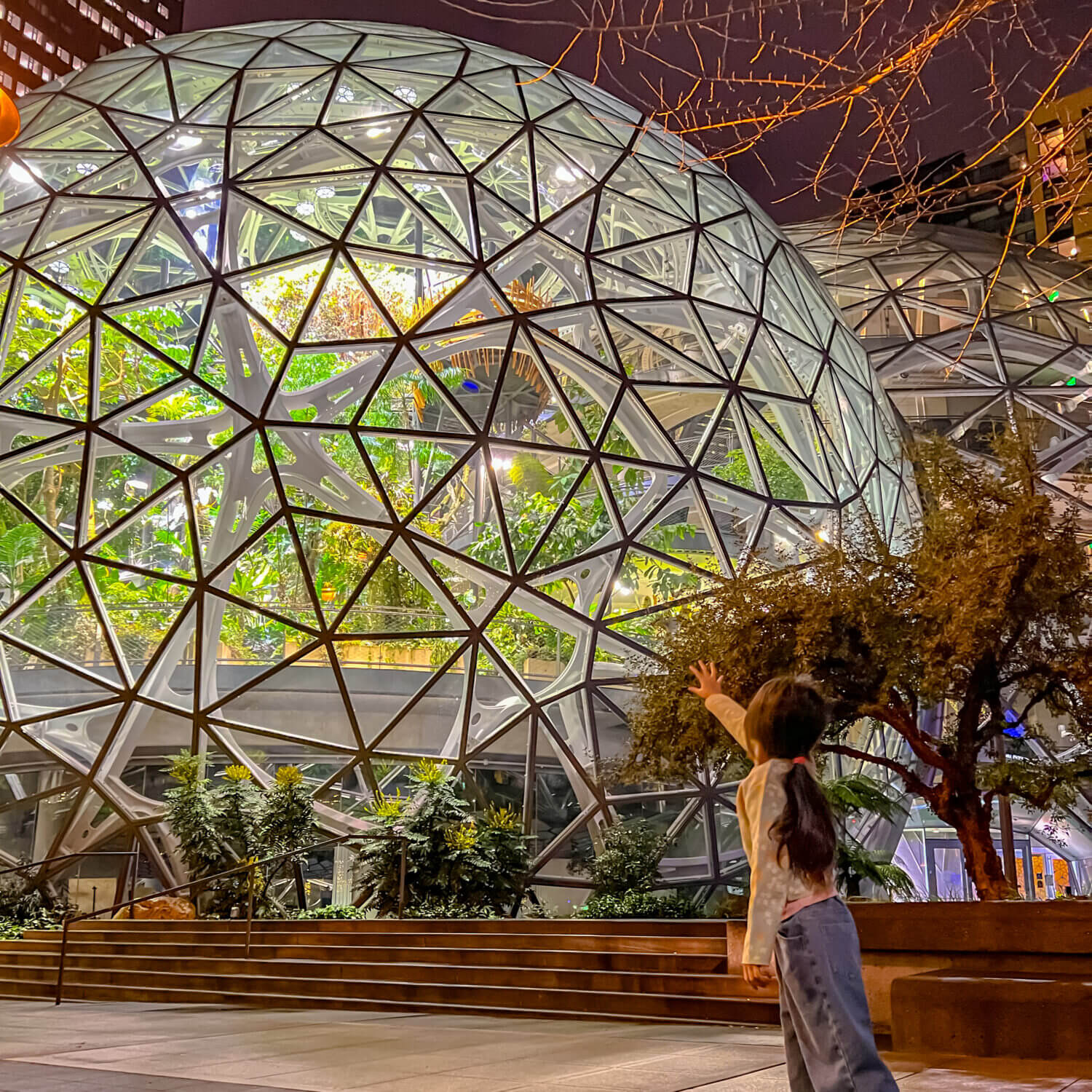 Amazon Spheres in Seattle with Kids + Special Holiday Lights